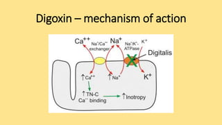 Digoxin journal club | PPT