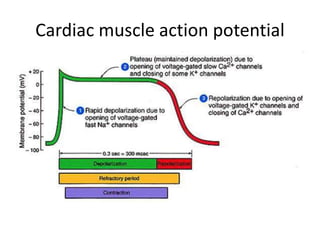 Digoxin toxicity | PPTX