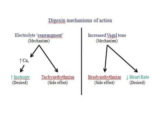 Digoxin toxicity | PPTX