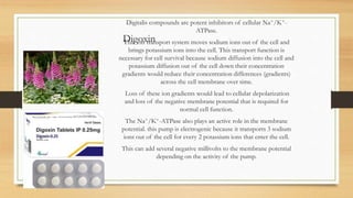 Digoxin toxicity | PPTX