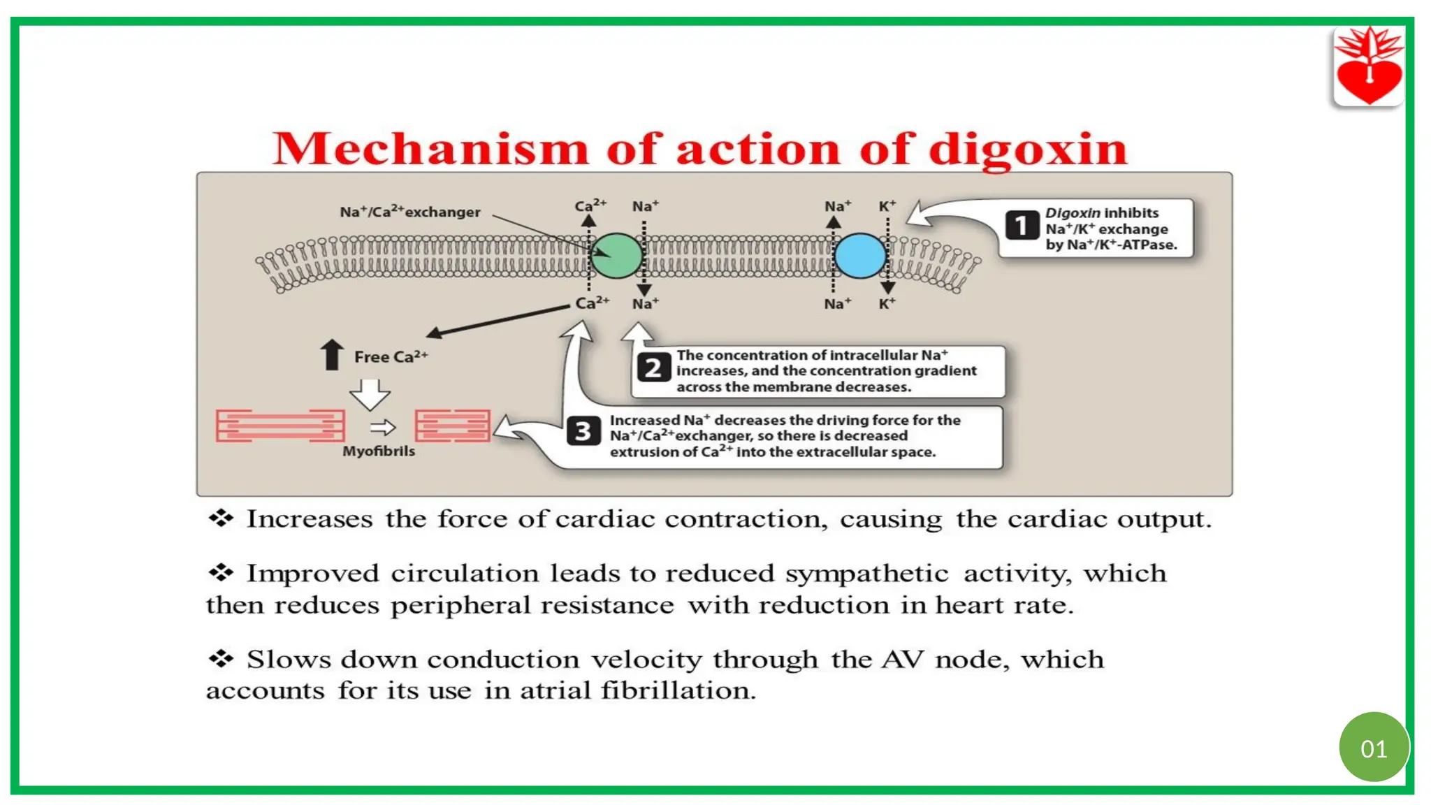 DIGOXIN TOXICITY.pptx, Treatment of Digoxin Toxicity, Ecg Changes in ...
