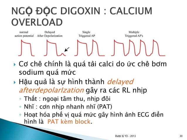 DIGOXIN | PDF