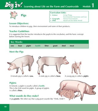 Dig resources animals | PDF