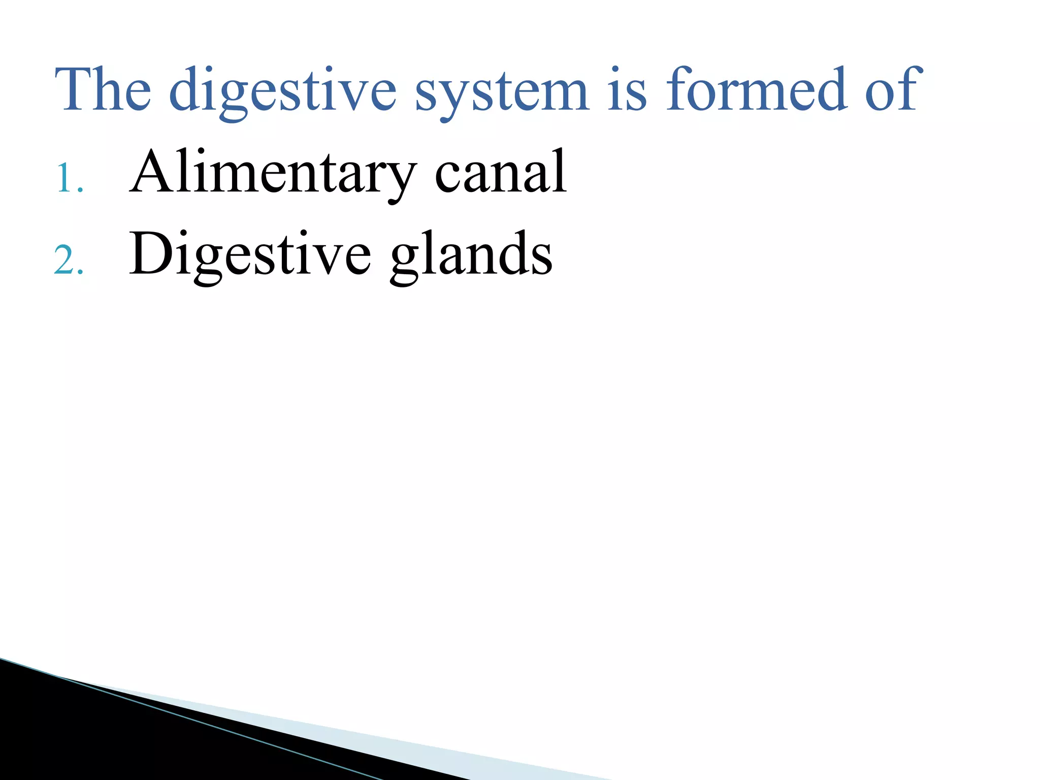 Digestive System - Physiology | PPT