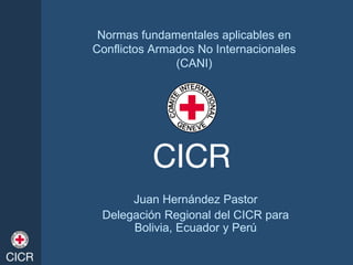 DIH - Conflictos Armados No Internacionales | PPTX