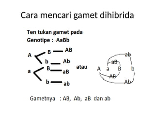 DIHIBRIDA.(MATERI IPA KELAS IX SEMSTER GANJIL)pptx | PPTX