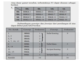 DIHIBRIDA.(MATERI IPA KELAS IX SEMSTER GANJIL)pptx | PPTX