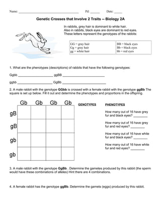 Dihybrid cross WS | DOC