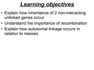 Dihybrid Inheritance Lesson 5 | PPT