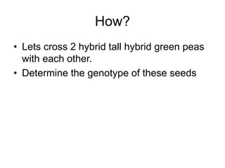 dihybrid_cross.ppt