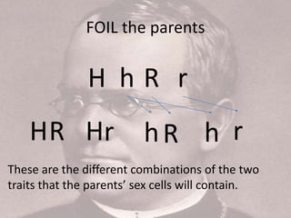 Dihybrid cross Tutorial | PPTX