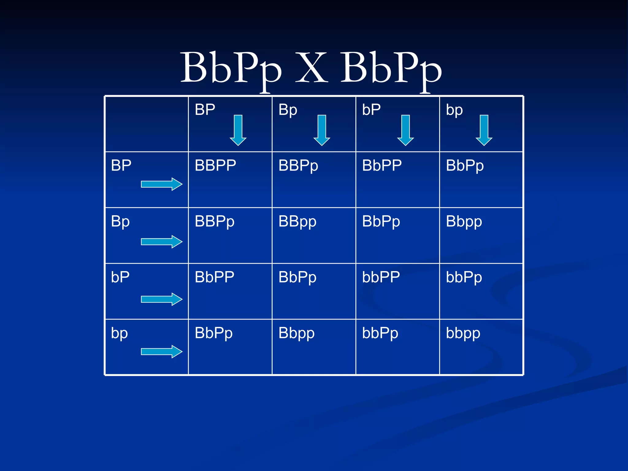 Dihybrid Cross Complete Dominance | PPT