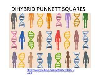 Dihybrid Crosses 2019.ppt