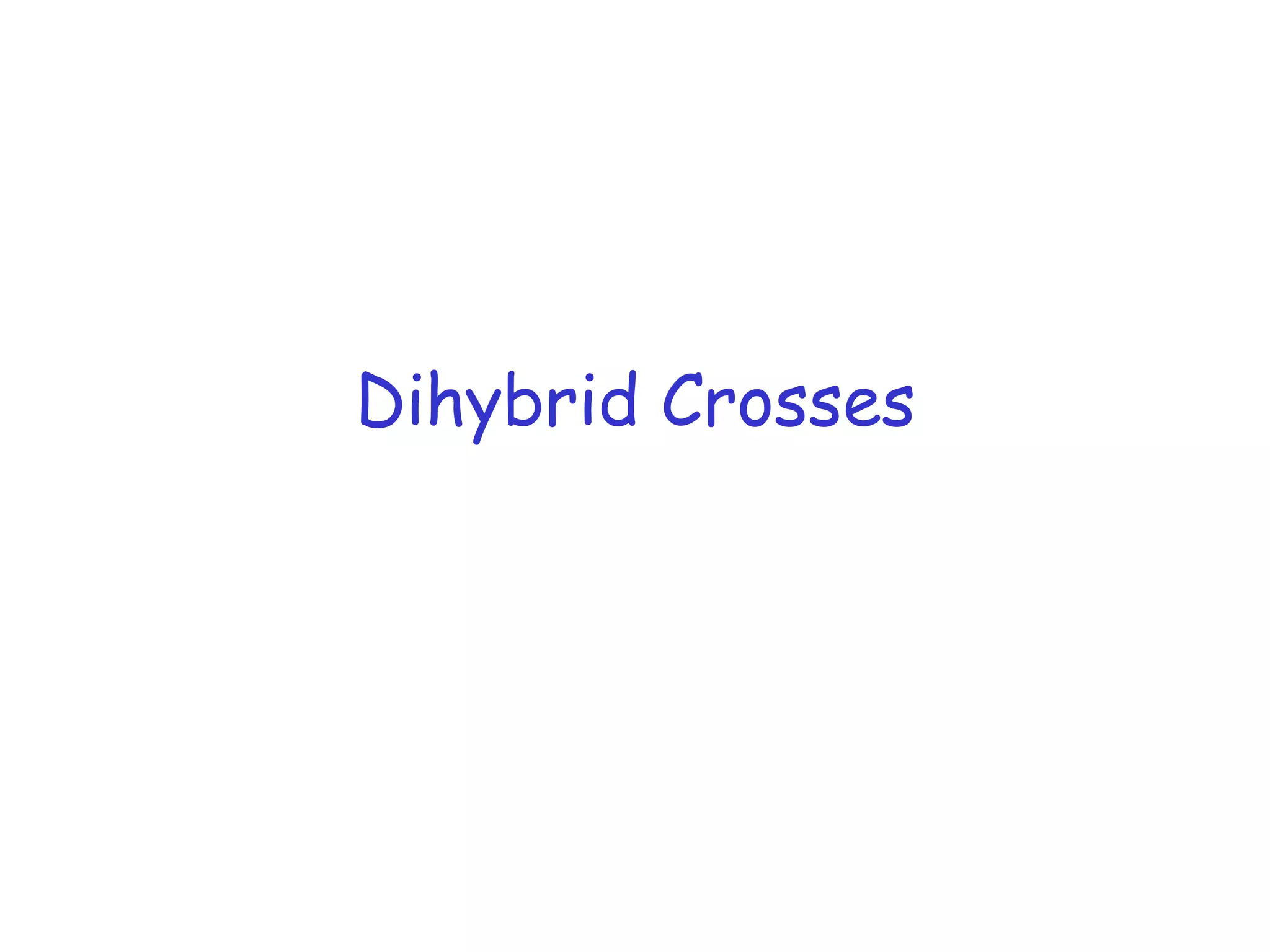 Dihybrid crosses notes for blog | PPT | Genetics | Science