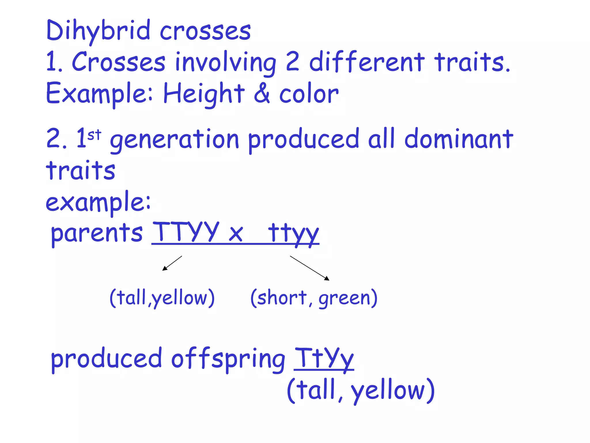Dihybrid crosses notes for blog | PPT