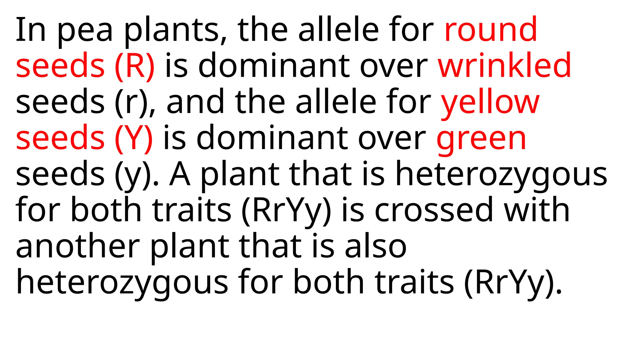 Dihybrid Cross Lesson for grade 8 students | PPTX