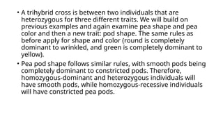 Dihybrid and Trihybrid Cross Worksheet.pptx