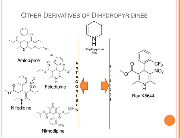 Dihydropyridines effect on Ca Channels