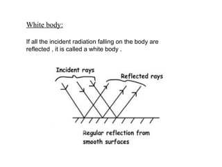 concept of different bodies | PPT
