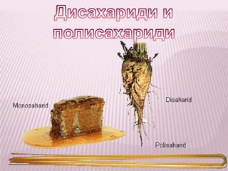 Disaharidi i polisaharidi | PPSX