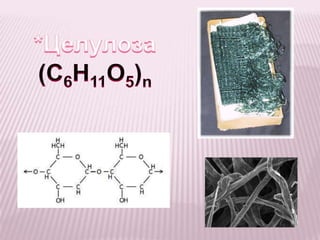 Disaharidi i polisaharidi | PPSX