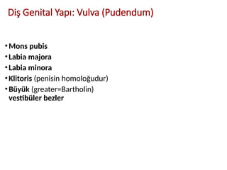 Dişi Üreme Sistemi -Kadın üreme SistemiS | PPT