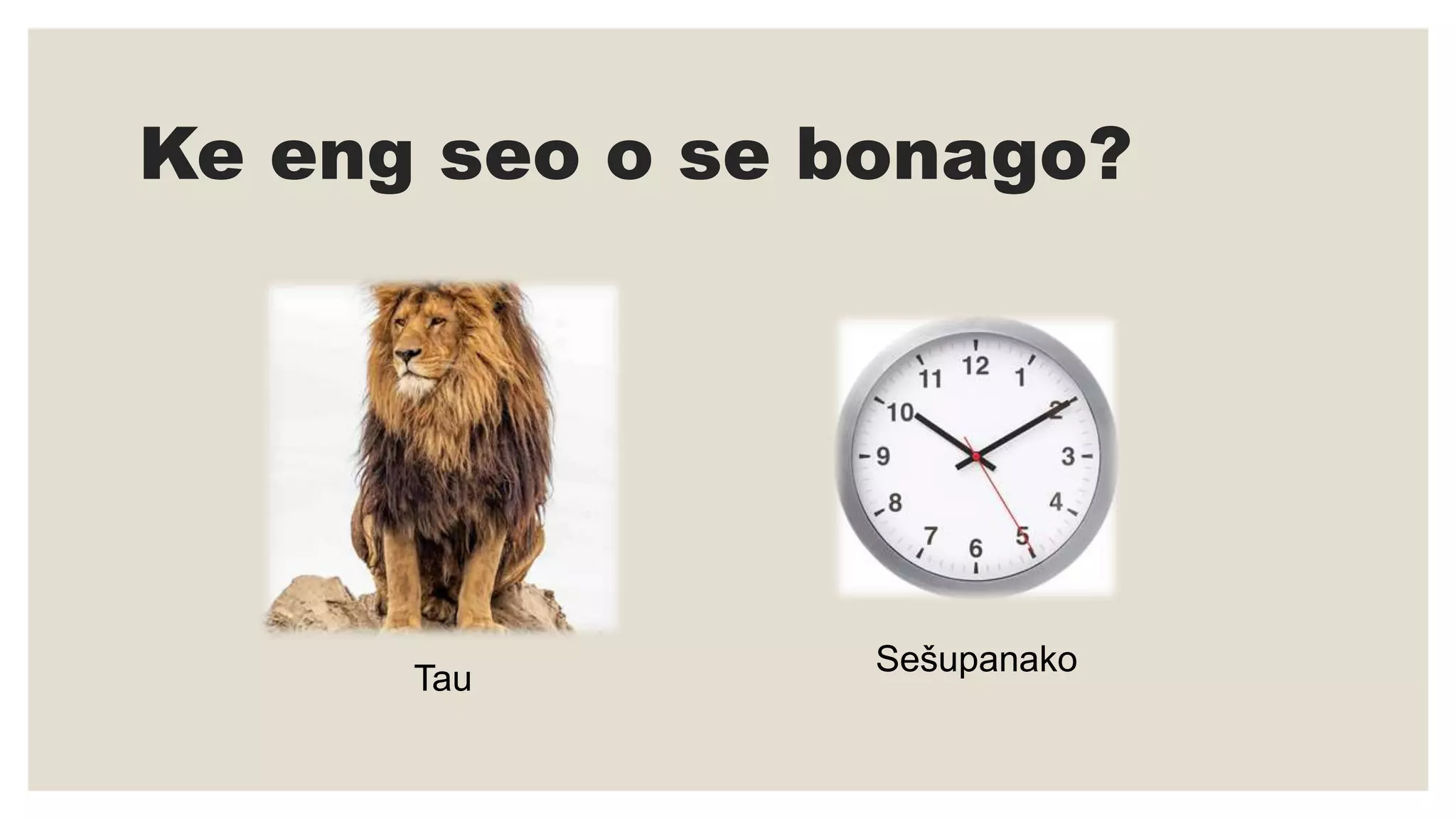 Maina le mehuta ya maina (Nouns and types of nouns) | PPTX