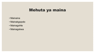 Maina le mehuta ya maina (Nouns and types of nouns) | PPTX