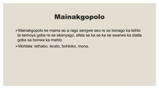 Maina le mehuta ya maina (Nouns and types of nouns) | PPTX