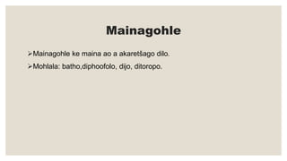 Maina le mehuta ya maina (Nouns and types of nouns) | PPTX