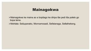 Maina le mehuta ya maina (Nouns and types of nouns) | PPTX