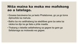 Maina le mehuta ya maina (Nouns and types of nouns) | PPTX