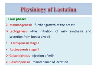 Lactation | PPT