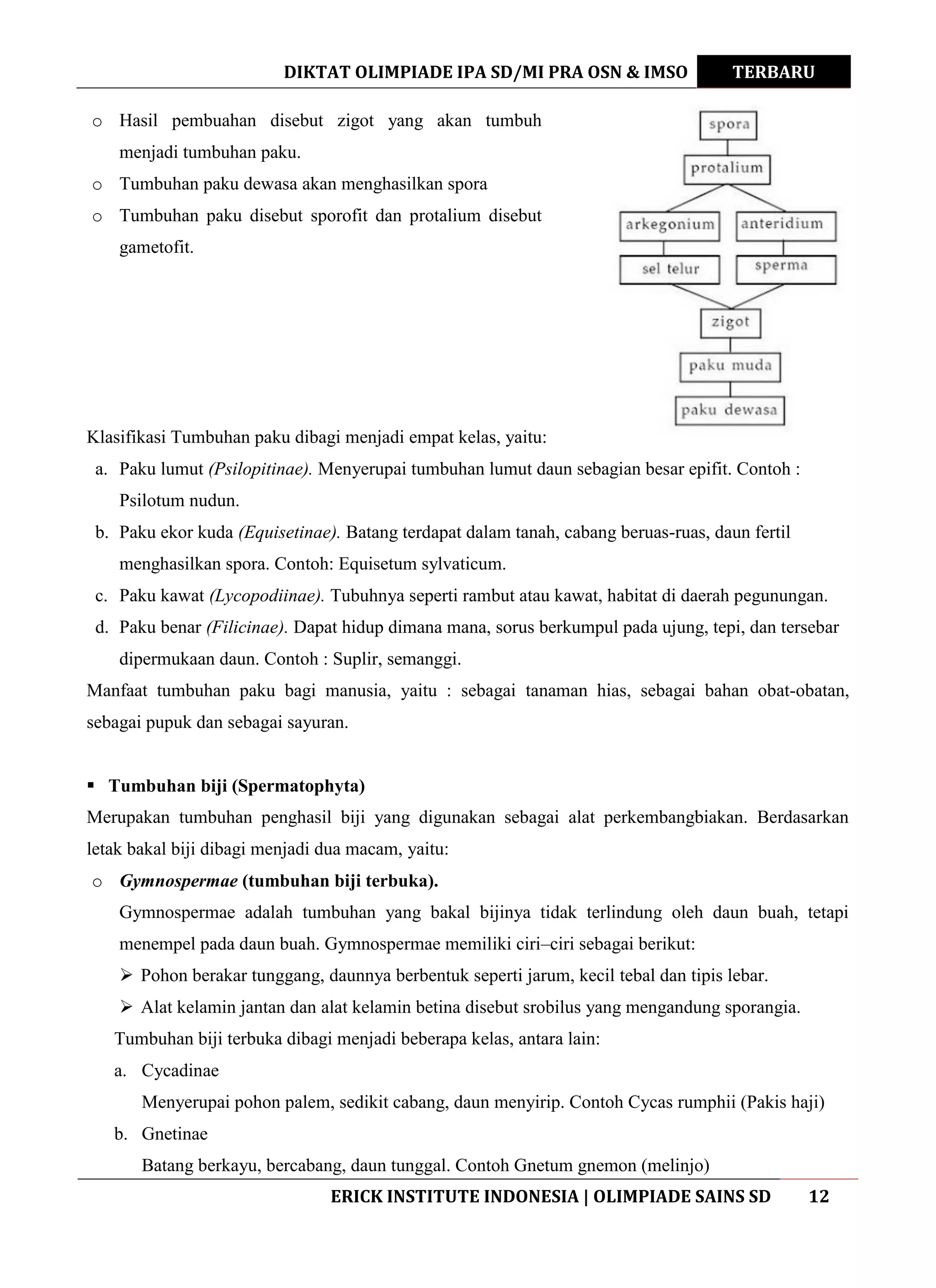 Diktat ipa biologi sd pra osn 2016 | PDF