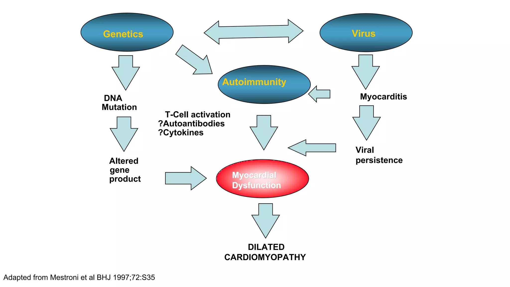 Dilated cardiomyopathy | PDF