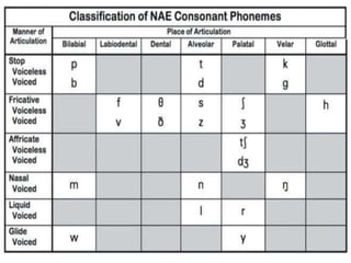 Phonetic and phonology | PPTX