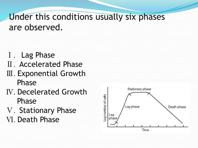 microbial culture and its growth kinetics | PPTX | Biological Sciences ...
