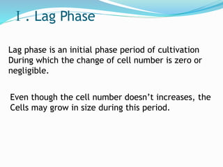 microbial culture and its growth kinetics | PPTX