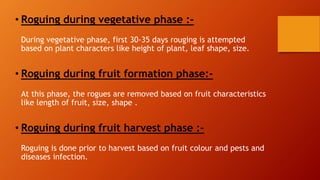 bitter gourd seed production technology , cucurbita. | PPTX