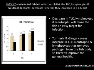 Impact of medicinal herbs on immune system | PPTX