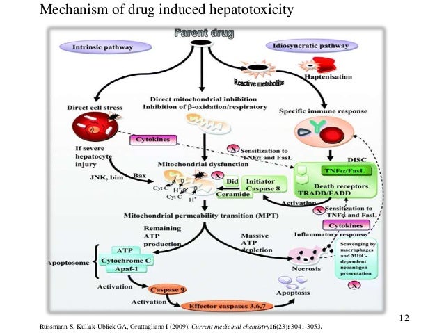 Drug induced hepatotoxicity and its regulatory implications
