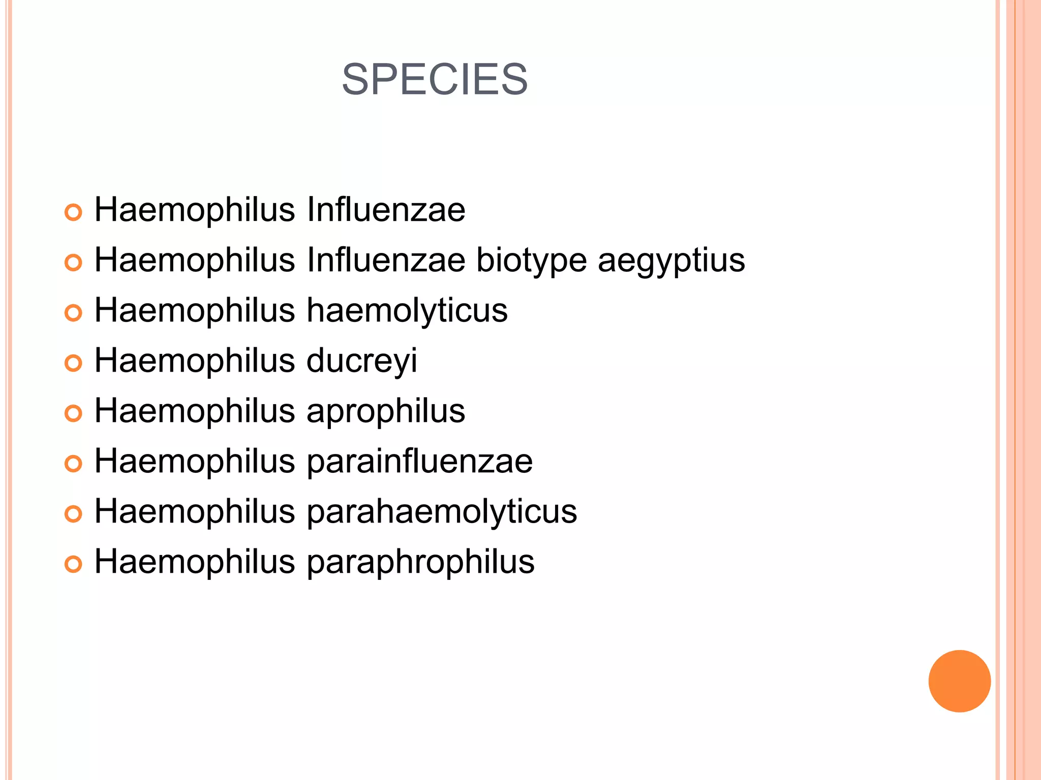 Haemophilus influenzae | PPTX