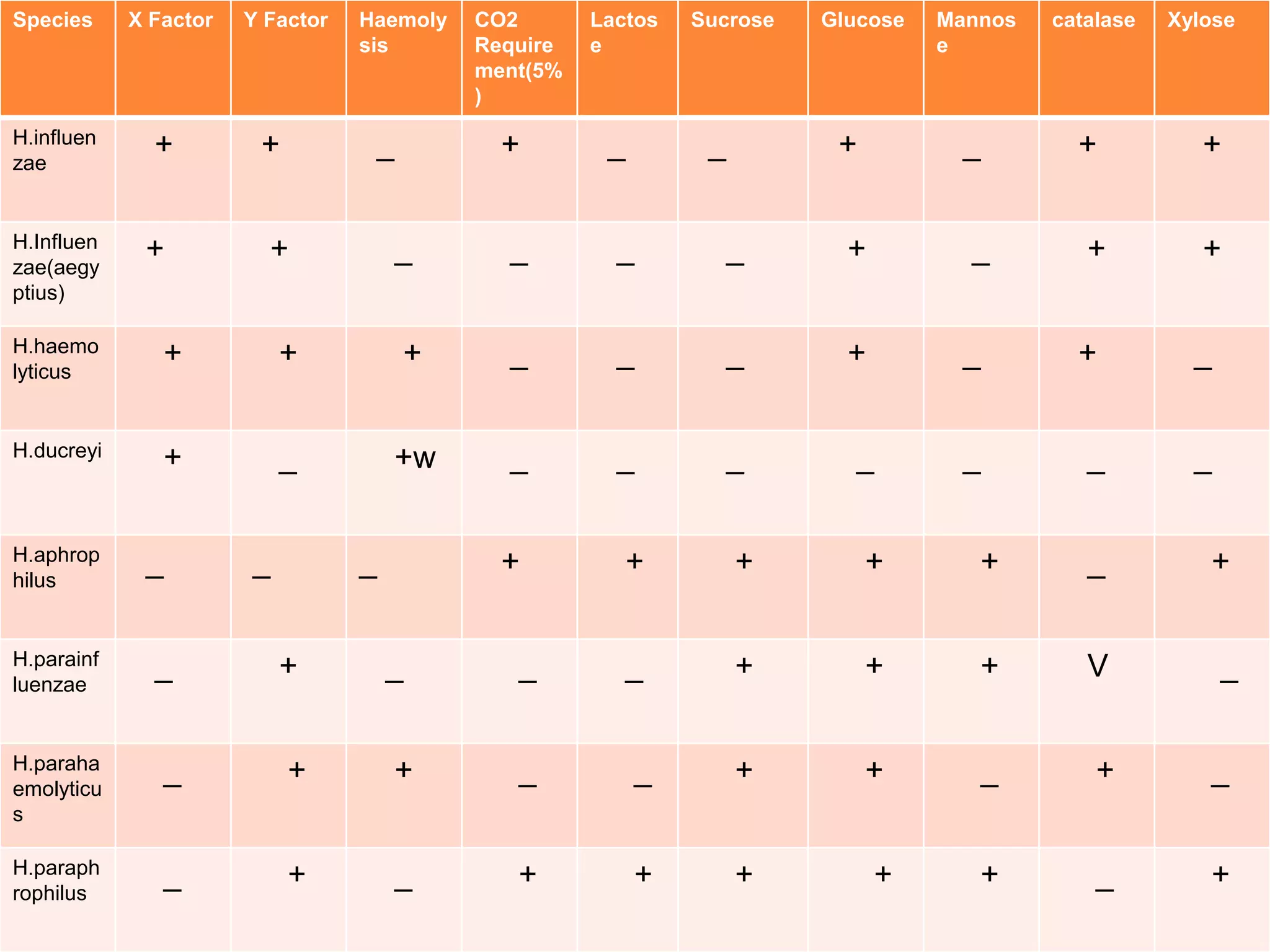 Haemophilus influenzae | PPTX