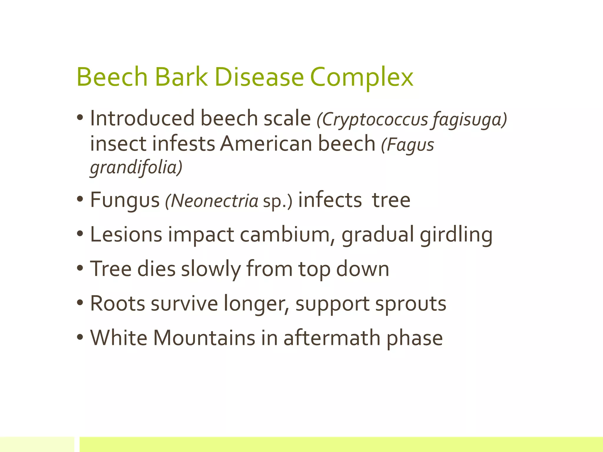 HB 2018-Who's who in beech bark disease | PPT