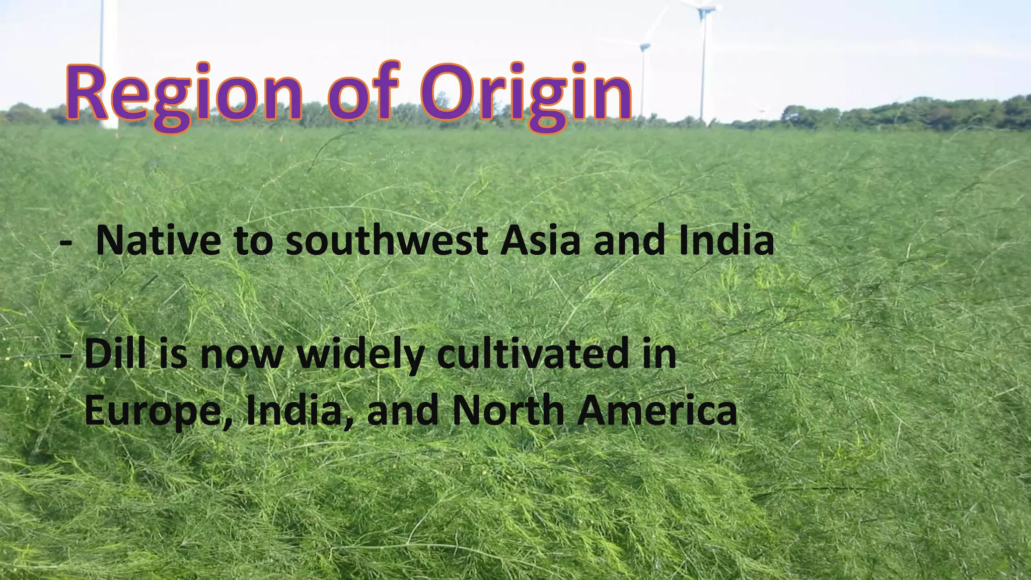 Dill ppt brandon ellis | PPTX