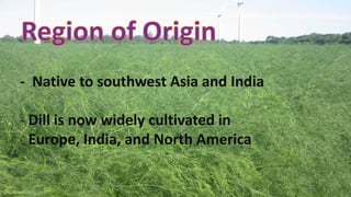 Dill ppt brandon ellis | PPTX