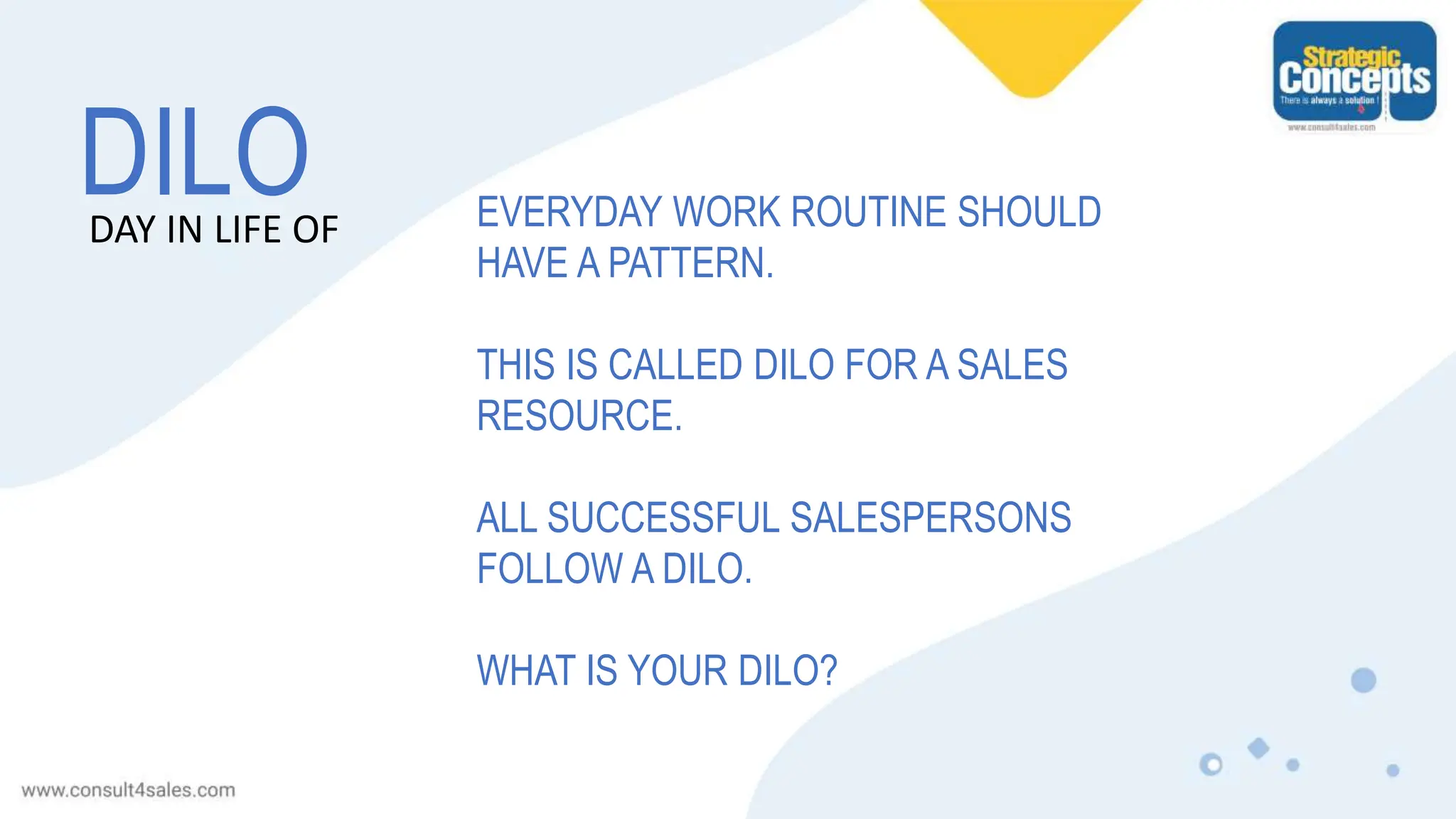DILO (Day in Life of) for Salespersons.pptx