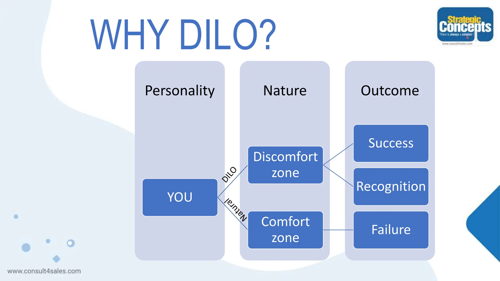 DILO (Day in Life of) for Salespersons.pptx