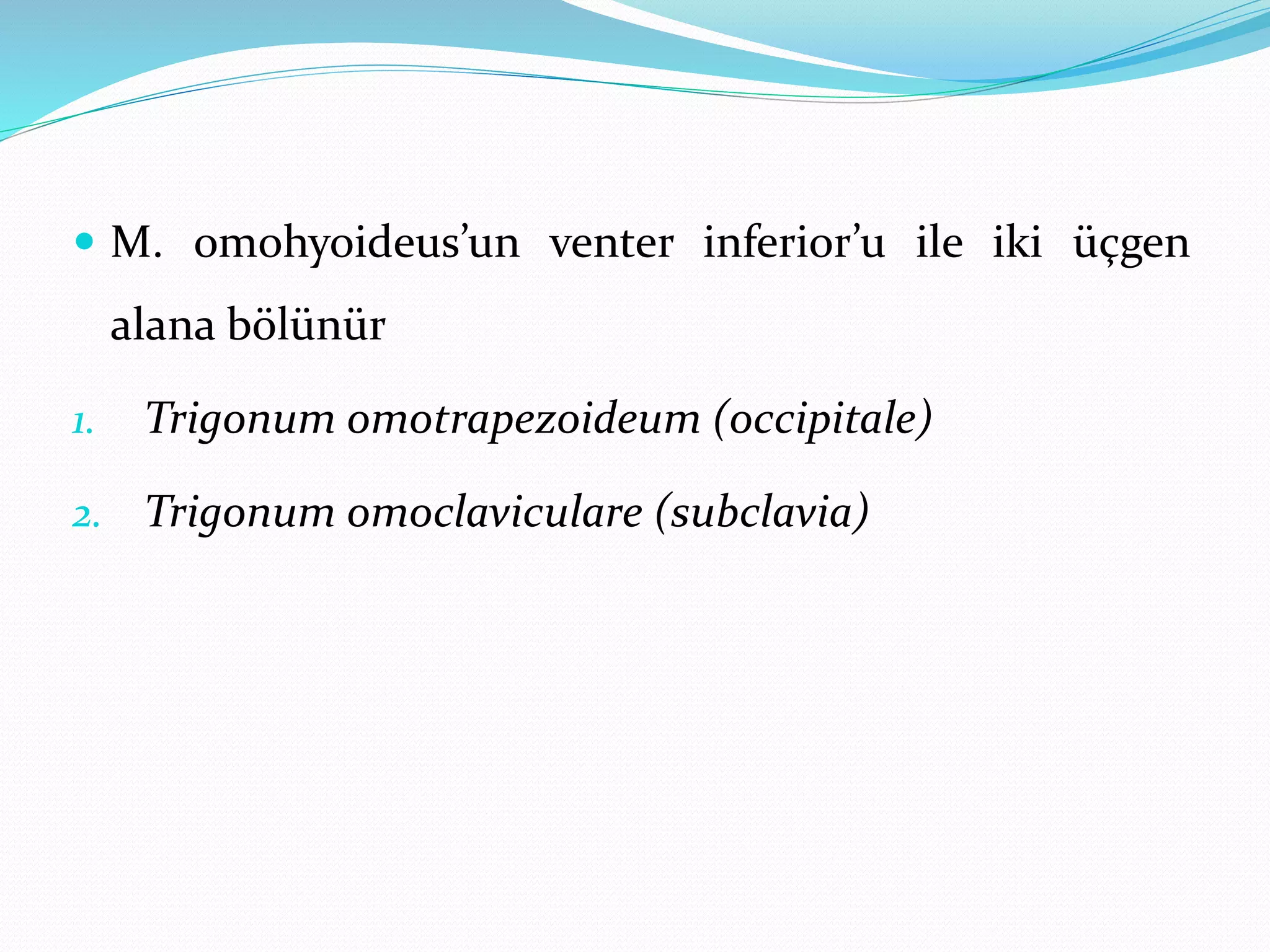 Di̇l, tükürük bezleri̇ ve boyun üçgenleri̇ | PPTX
