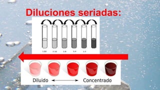 Diluciones | PPTX